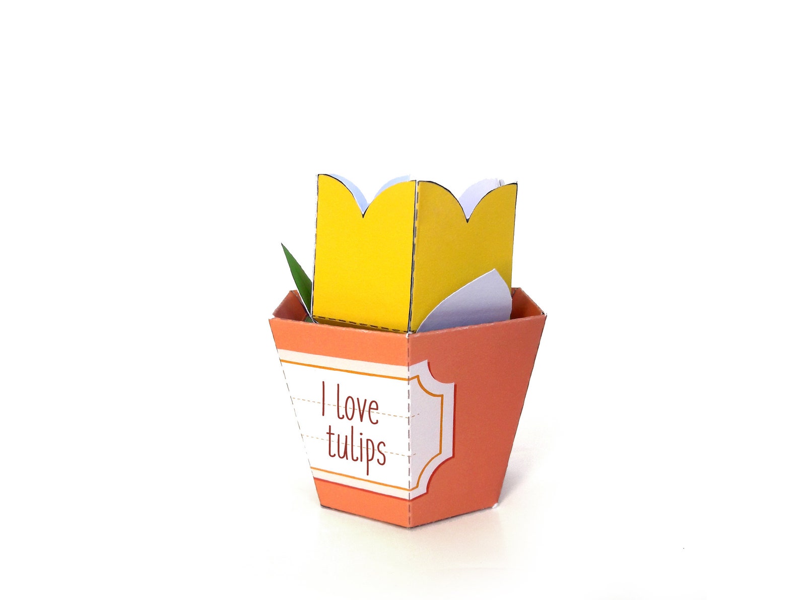 Digital Flower Pop up Box DIY - Etsy