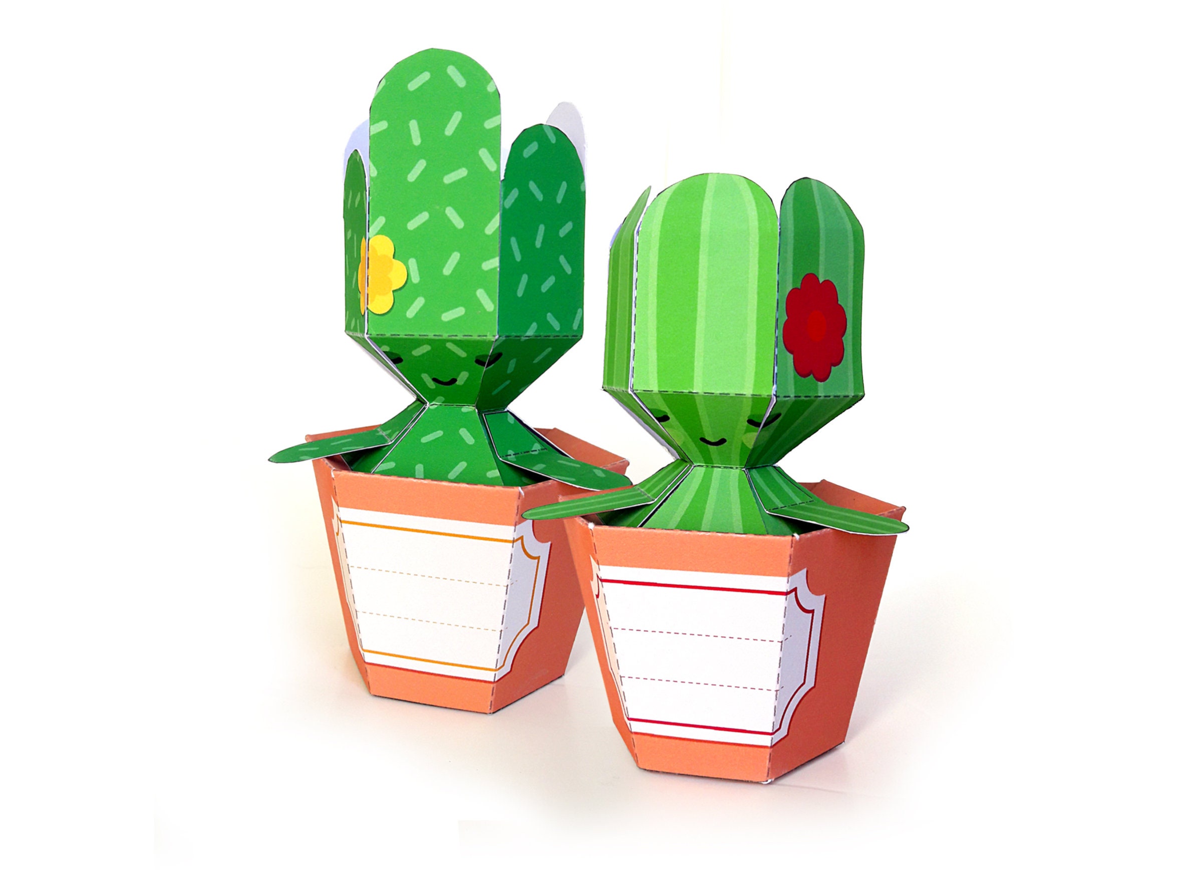 Digital Cactus Pop up Box DIY - Etsy