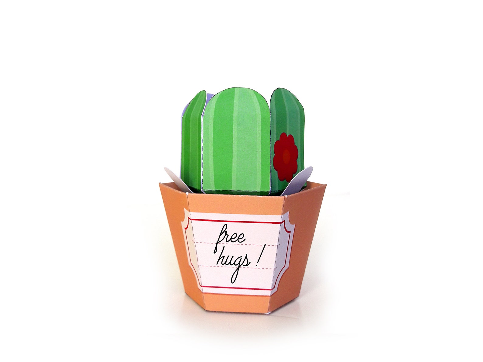 Digital Cactus Pop up Box DIY - Etsy