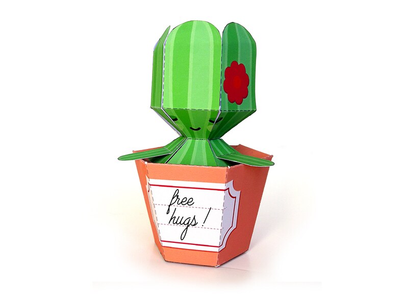 Digital Cactus Pop up Box DIY - Etsy