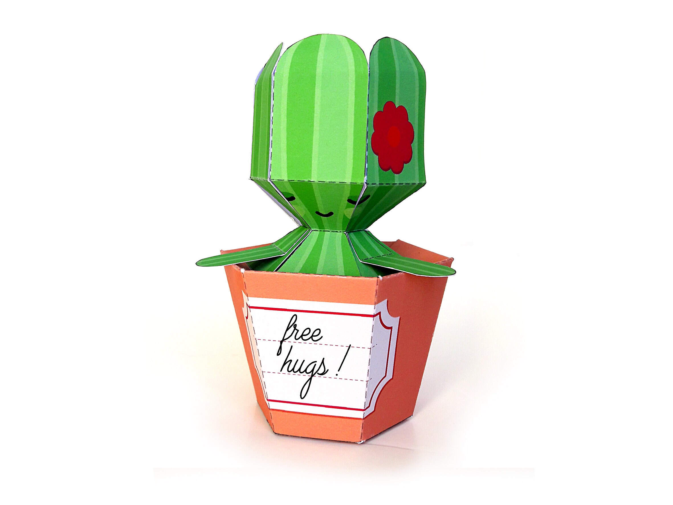 Digital Cactus Pop up Box DIY - Etsy