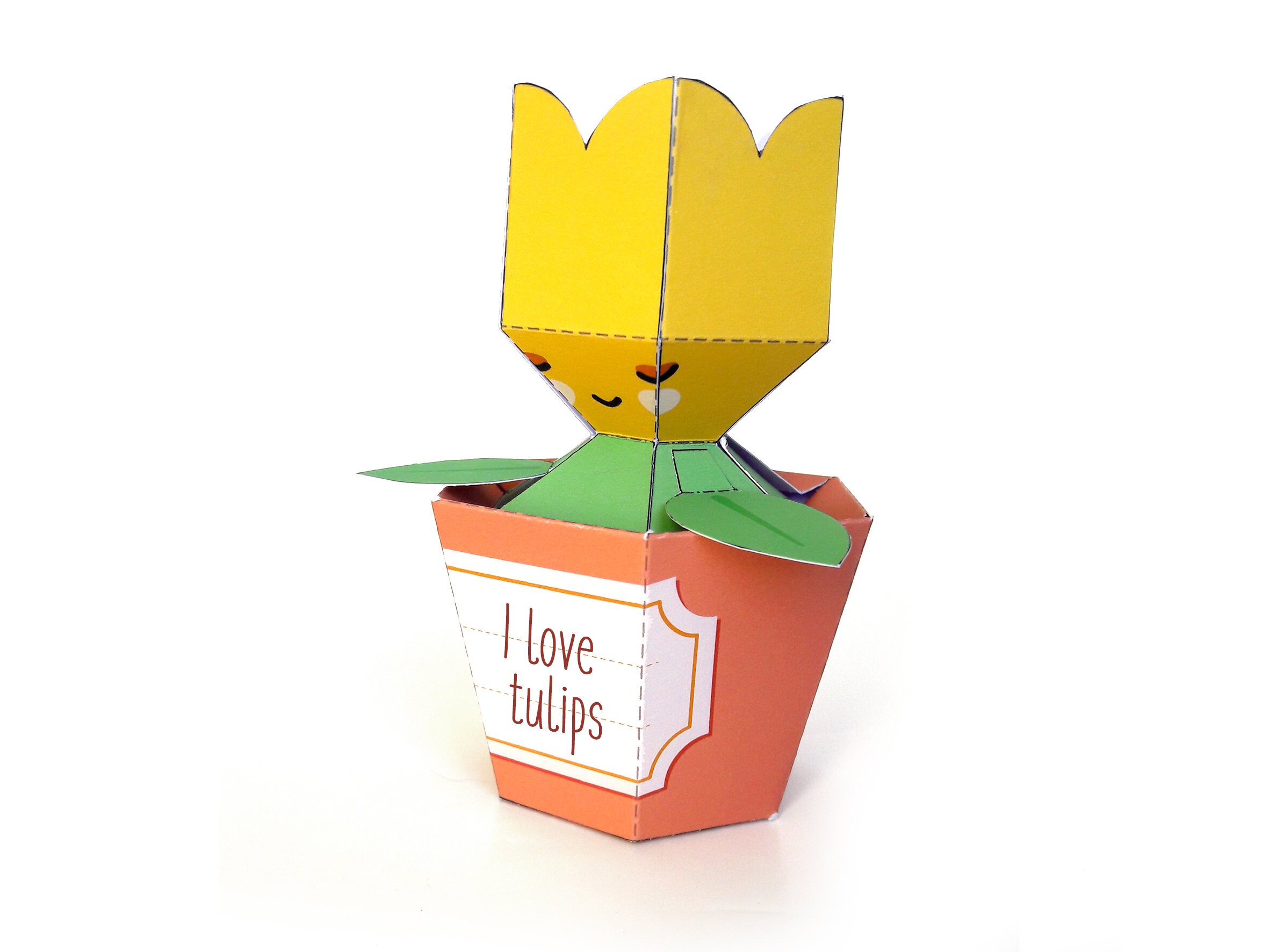 Digital Flower Pop up Box DIY - Etsy