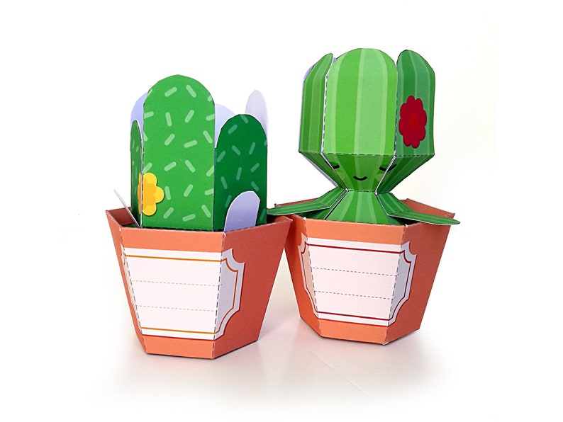 Digital Cactus Pop up Box DIY - Etsy