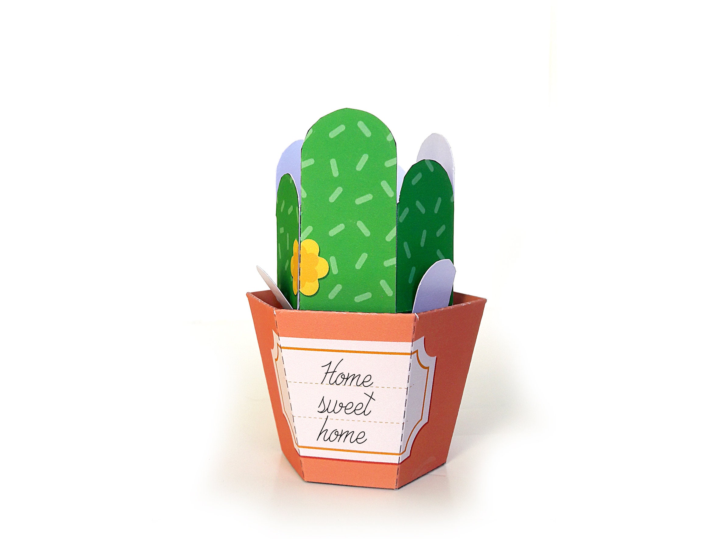 Digital Cactus Pop up Box DIY - Etsy