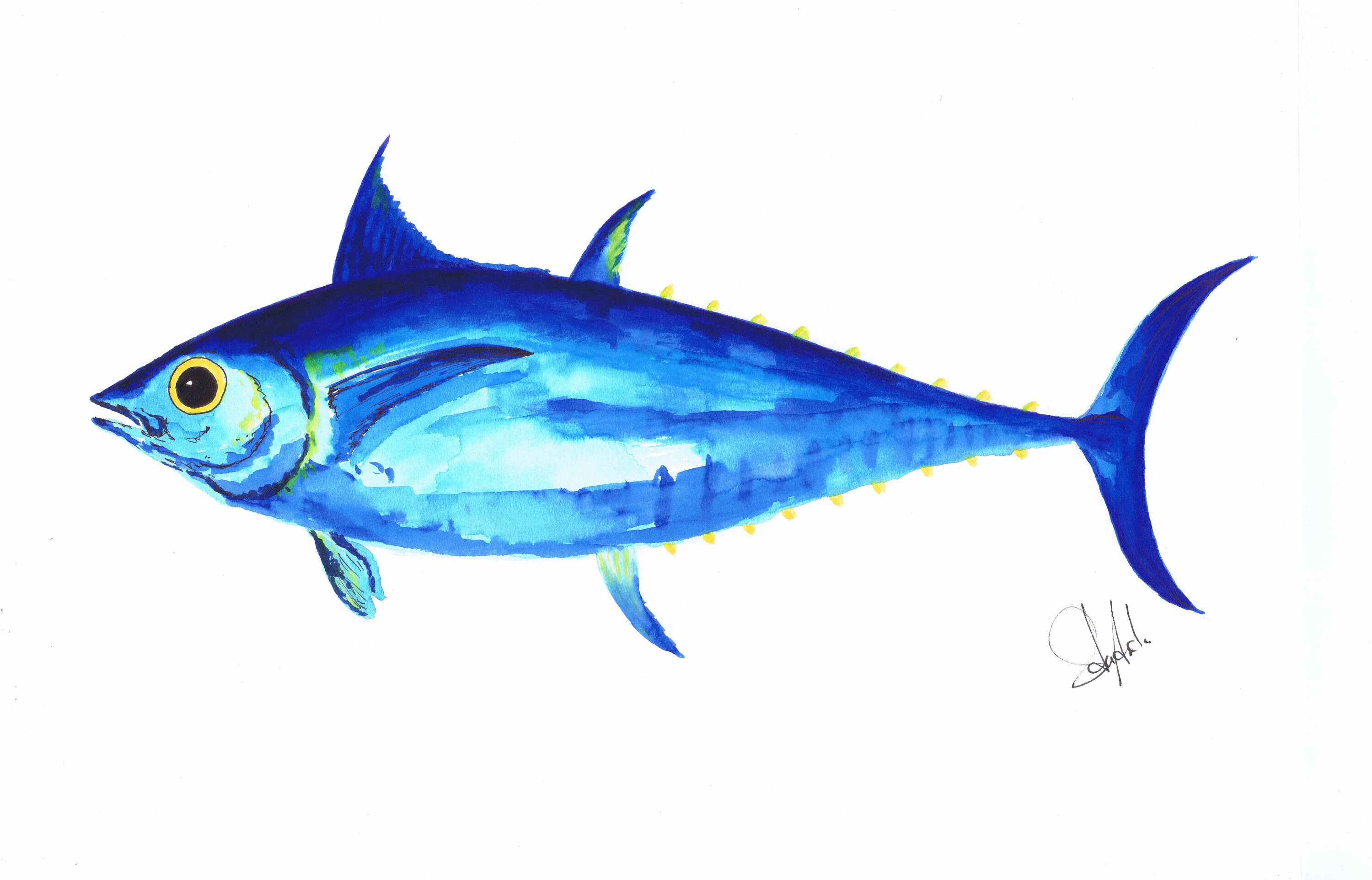 Bluefin Tuna - Watercolour Brush Pens - Fishing Lures, Vintage Lures ...