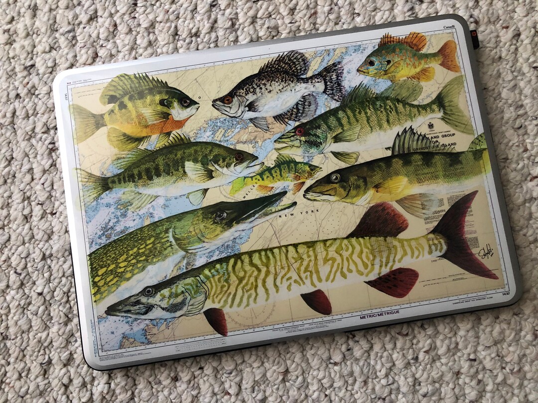 New Product - Laptop Gelaskins- Fish, Art, Wildlife, Laptop Covers ...