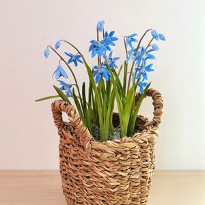 Handmade Bluebell Flowers , Real Touch Bluebells, Made of Air Dry ...