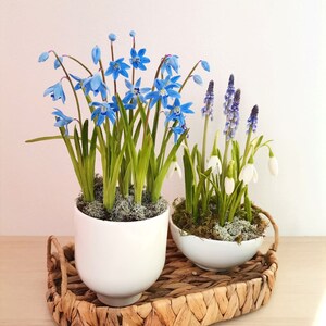 Handmade Bluebell Flowers , Real Touch Bluebells, Made of Air Dry ...
