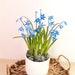 Handmade Bluebell Flowers , Real Touch Bluebells, Made of Air Dry ...