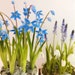 Handmade Bluebell Flowers , Real Touch Bluebells, Made of Air Dry ...