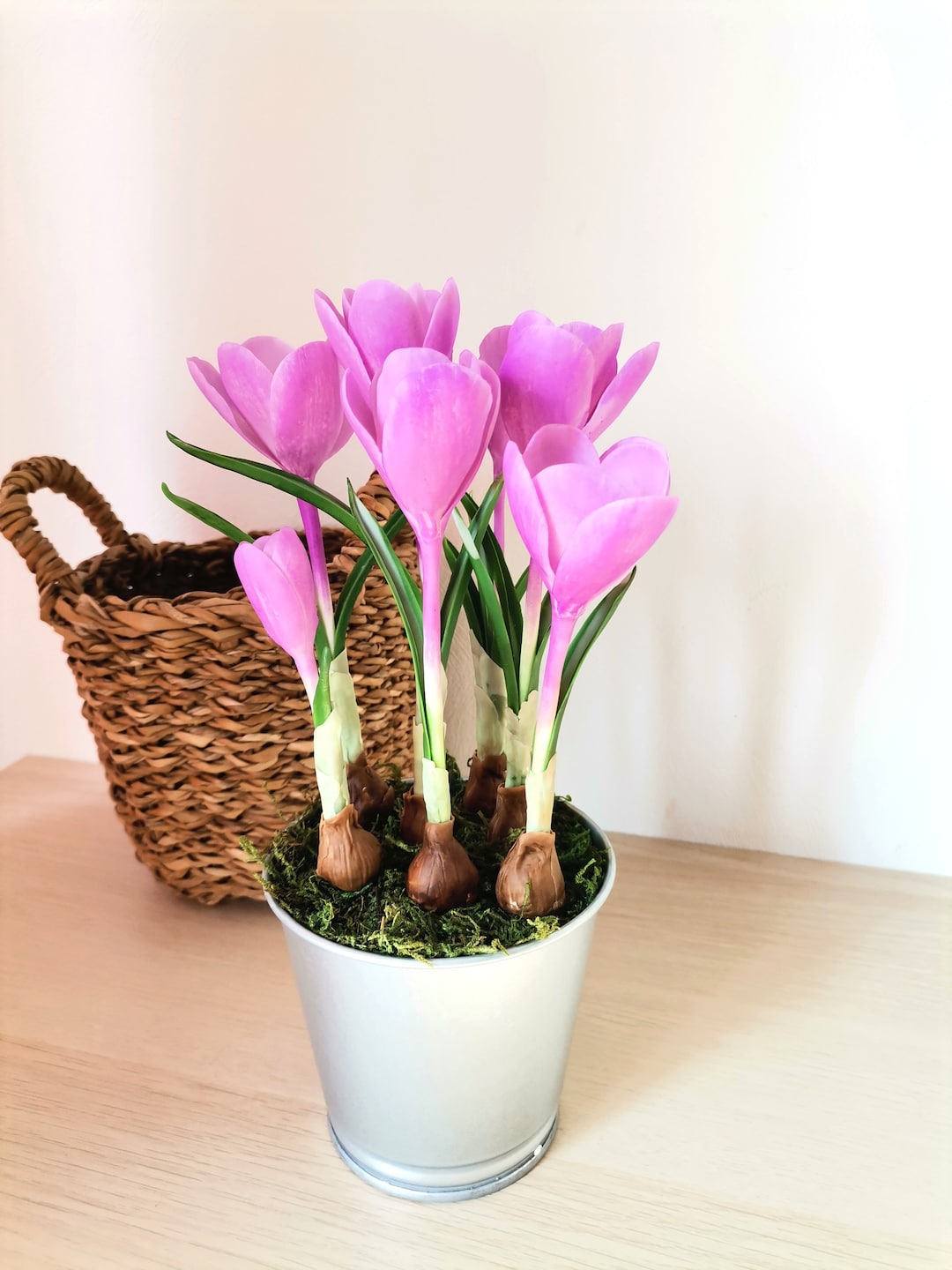 Clay Crocus Flowers in a Flowerpot, Bouquet of Purple Crocus, Clay ...