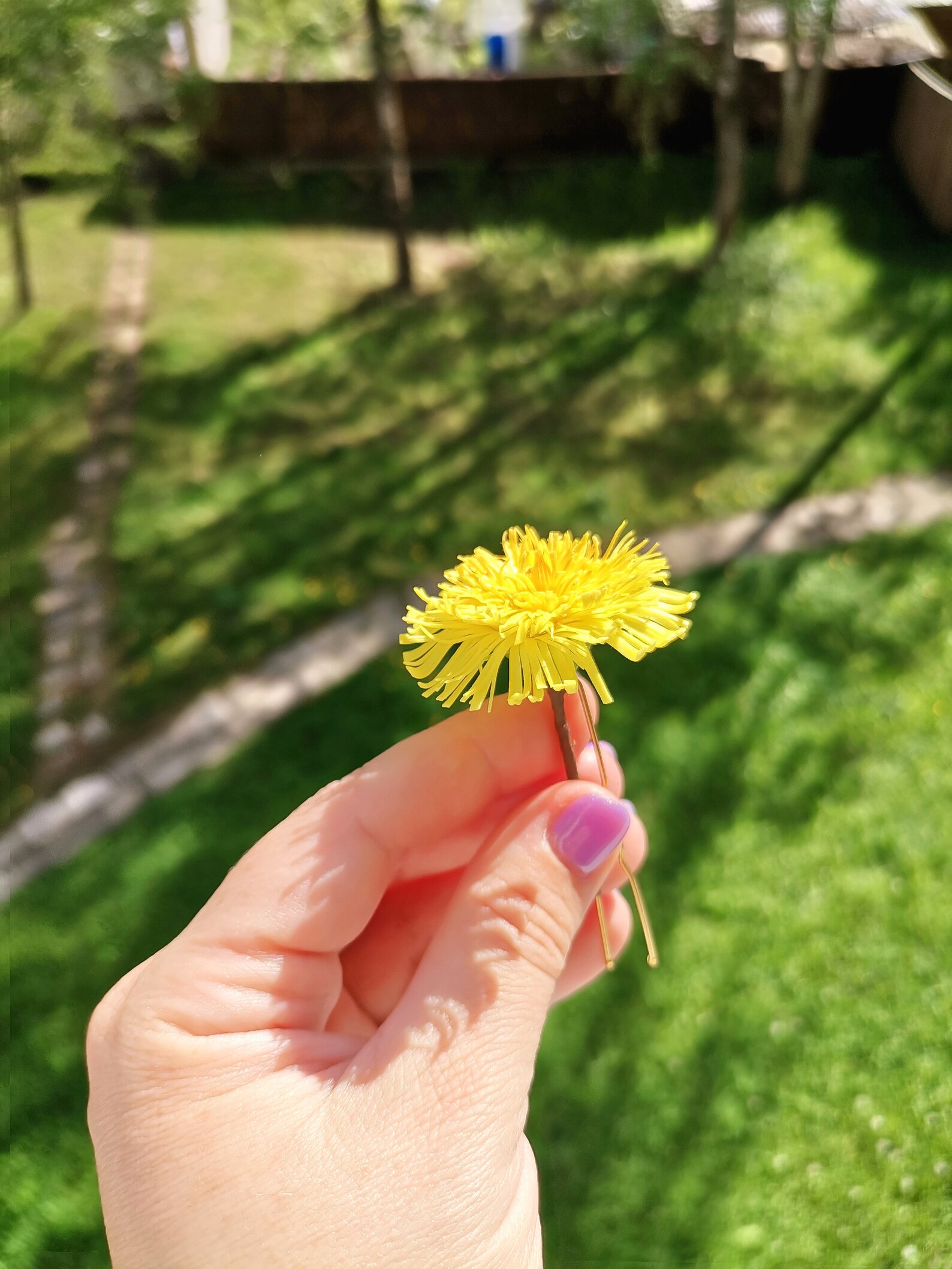 Dandelion Hair Pin, Hair Accessories, Made of Air Dry Polymer Clay ...