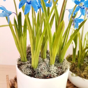 Handmade Bluebell Flowers , Real Touch Bluebells, Made of Air Dry ...