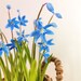 Handmade Bluebell Flowers , Real Touch Bluebells, Made of Air Dry ...