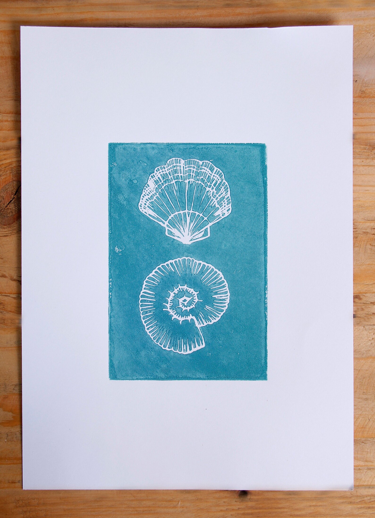 Turquoise Shell Lino Print - Etsy