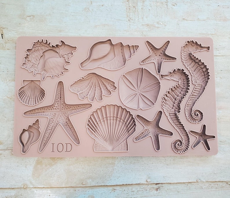 IOD Sea Shells Mould - Etsy