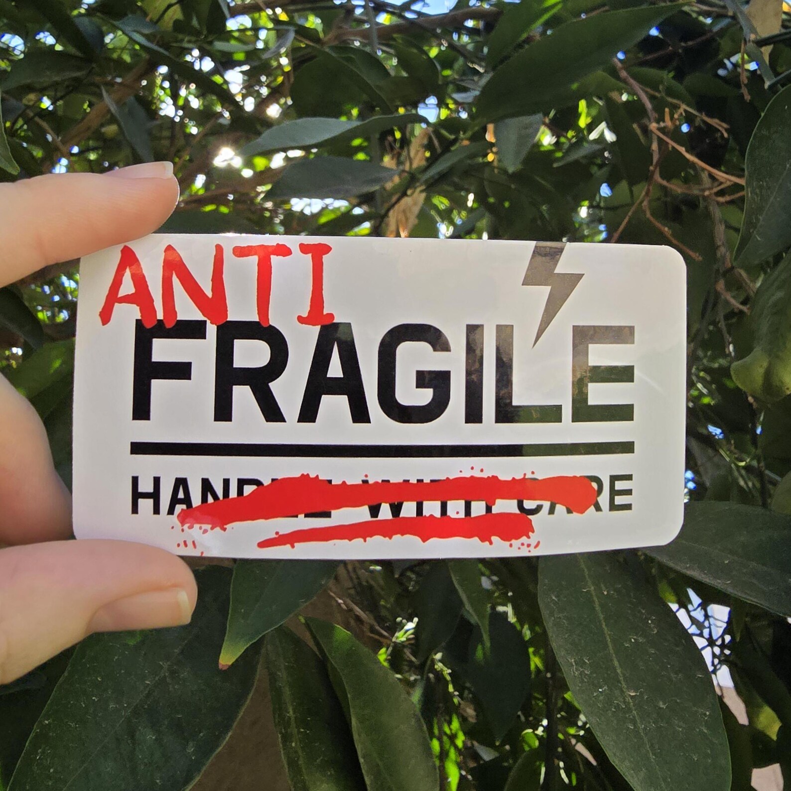 Anti Fragile Sticker | Waterproof Vinyl Sticker | Perfect for Laptops ...