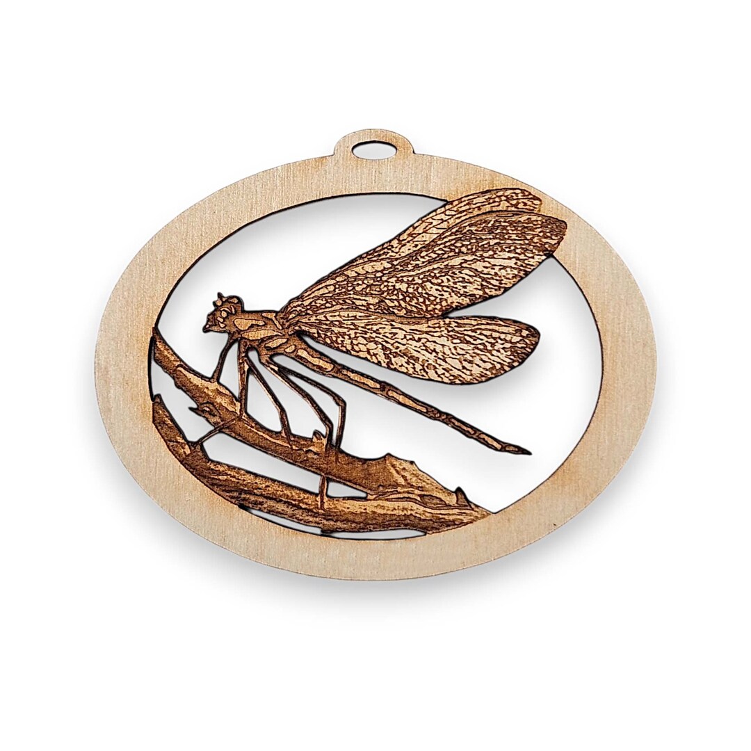 Dragonfly Ornament | Personalized | Unique Dragonfly Gifts for Nature ...