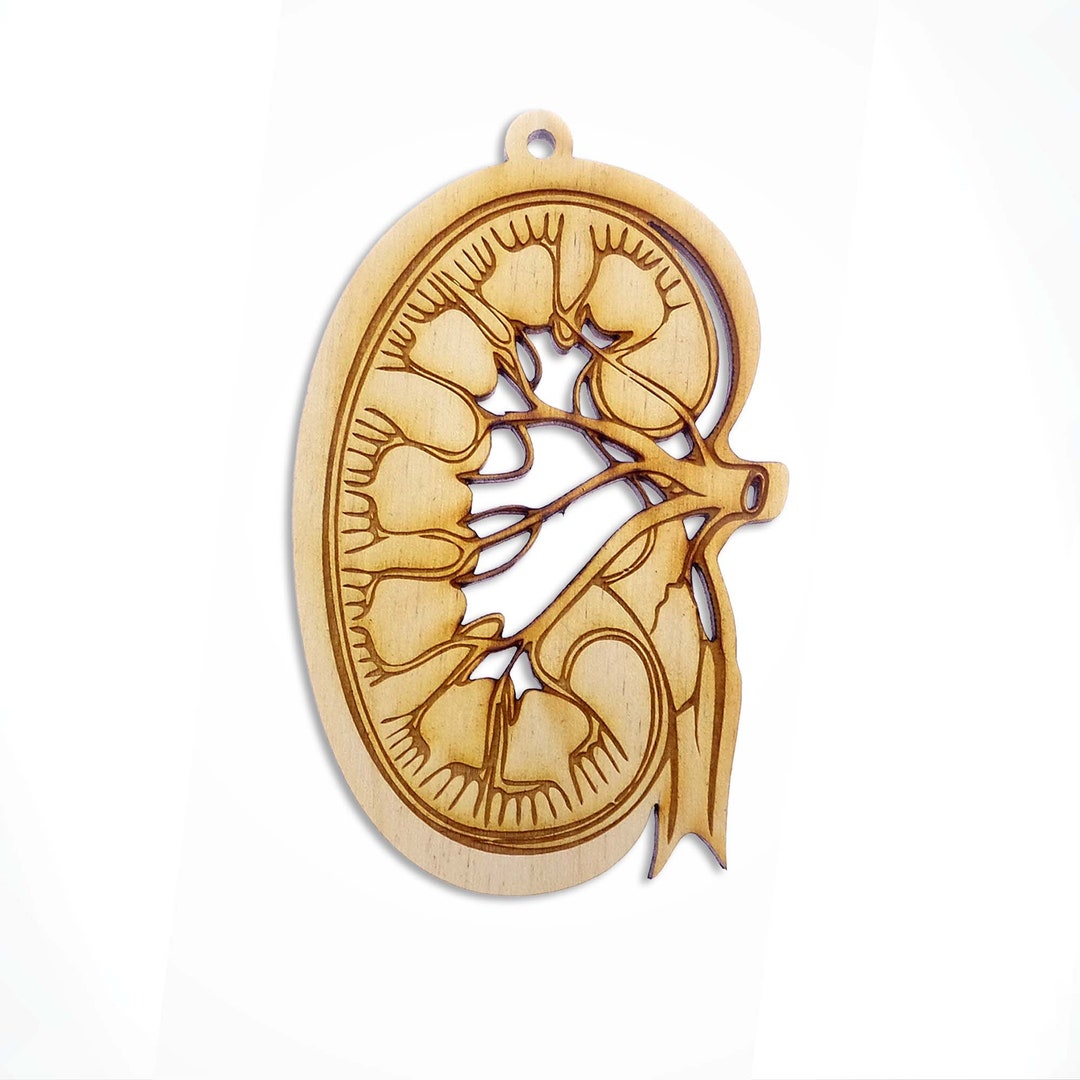 Personalized Kidney Ornament - Celebrate Kidney Donation - Kidney ...