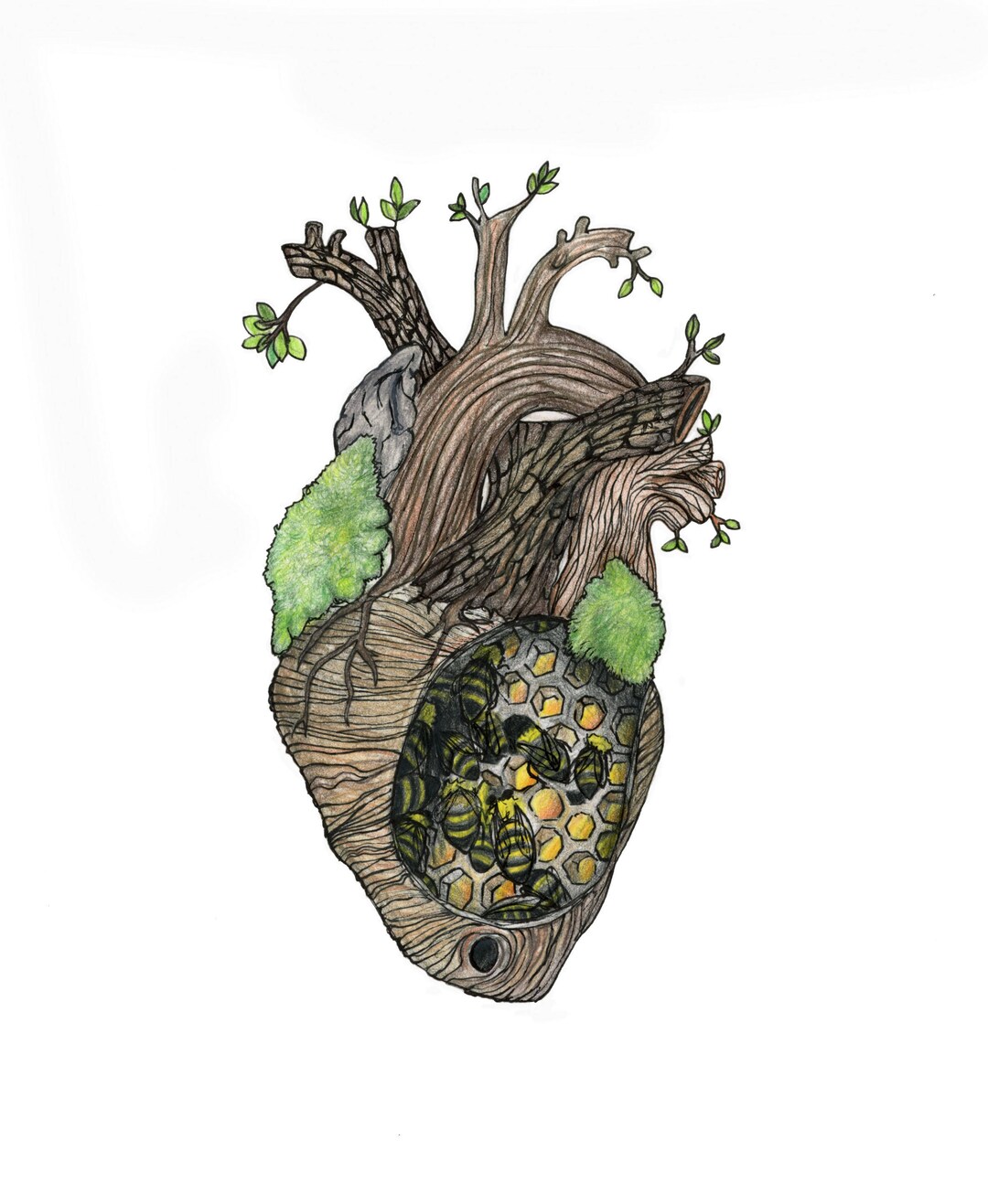 8 X 10 Beehive Heart Print - Etsy