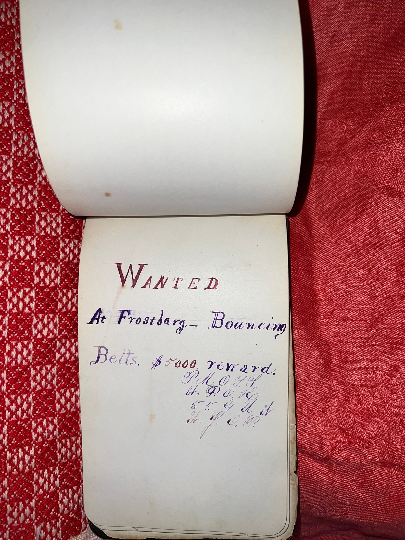 Rare Antique 1882 Victorian Edwardian Autograph Book Elegant Floral ...
