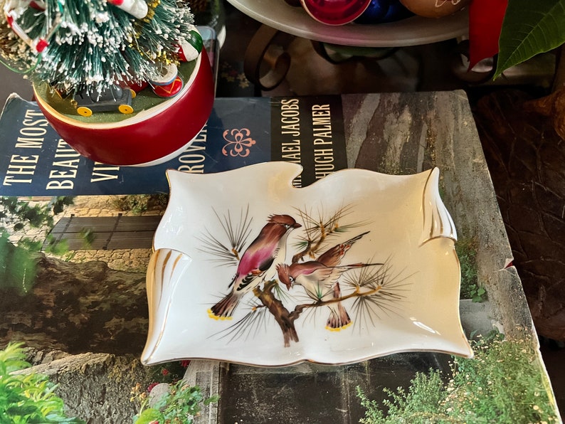 Lovely Vintage Cedar Waxwing Cardinals Grosbeaks Birds Hand Painted ...