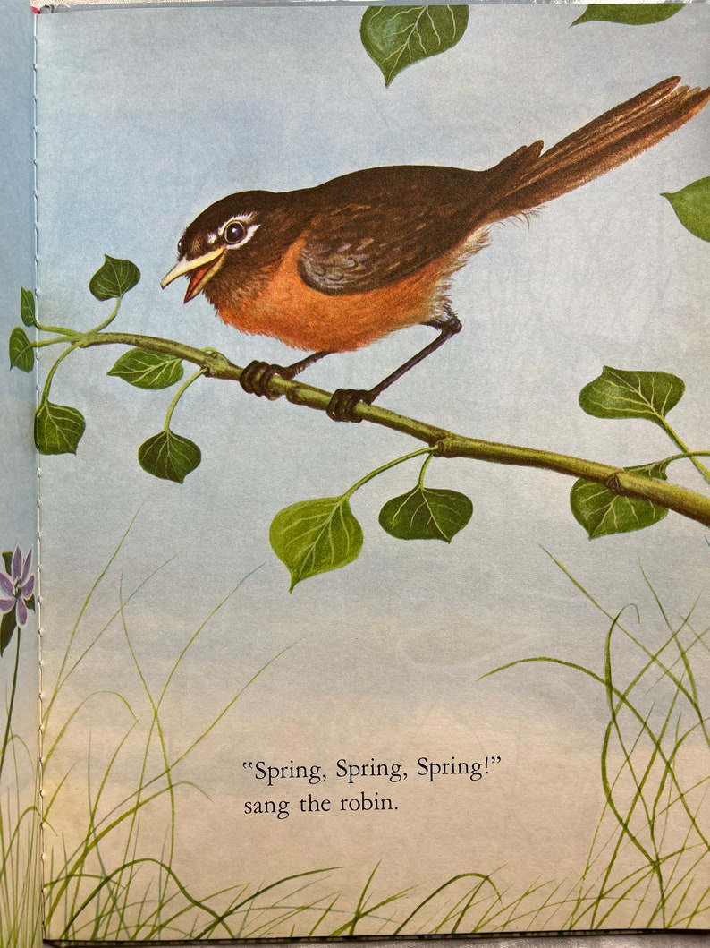 Rare BIG Golden Book Vintage Easter Children's Illustrated - Etsy