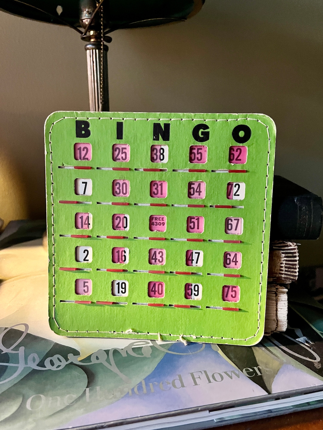 Vintage Extra Thick Stitched Cardstock Woodgrain Rapid Reset Shutter ...