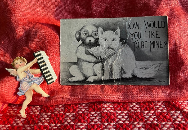 Antique 1909 Valentine Black White Postcard Dog and Cat "how Would You ...