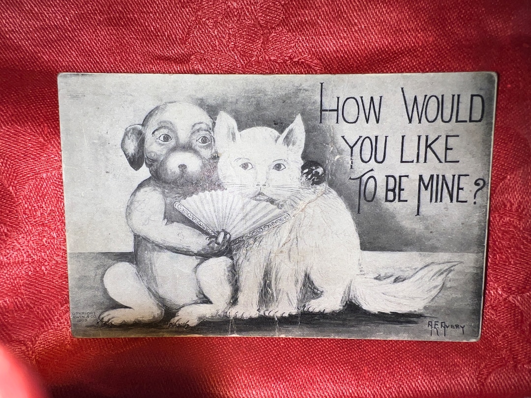 Antique 1909 Valentine Black White Postcard Dog and Cat "how Would You ...