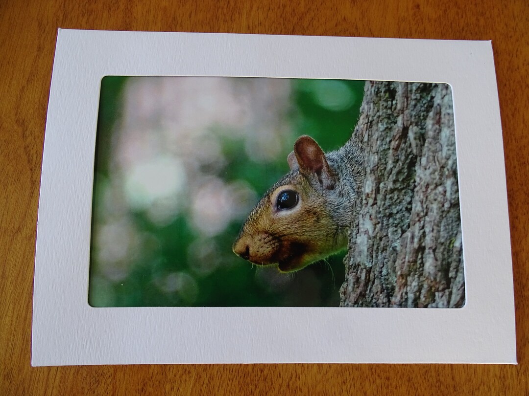 Photo Note Cards Assortment Build Your Own Set - Etsy