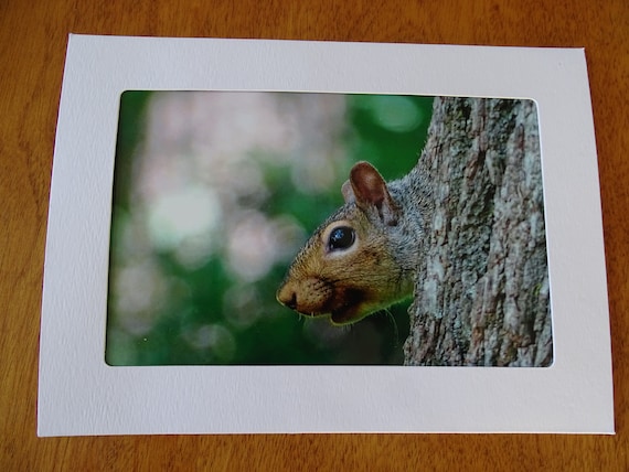 Photo Note Cards Assortment Build Your Own Set | Etsy