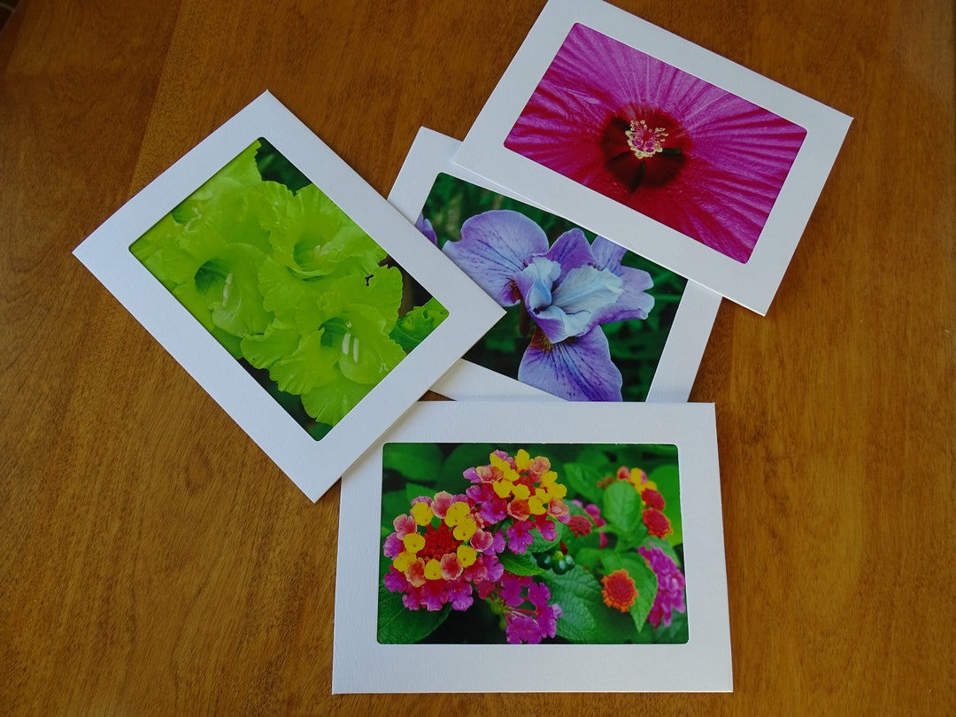 Fine Art Photo Note Cards Flowers Set of 4 - Etsy