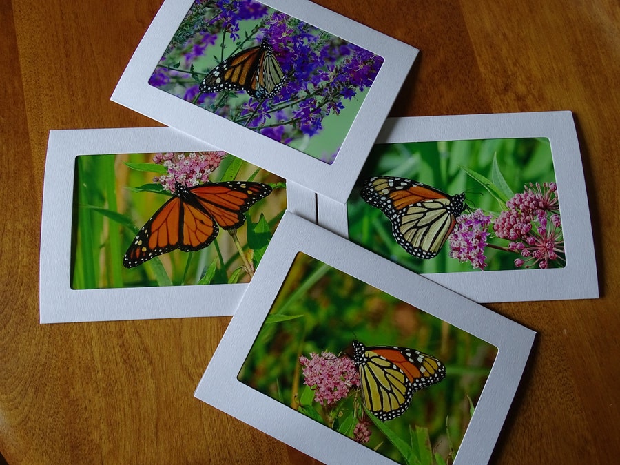 GladiolaCreations - Etsy