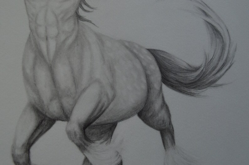 Centaur Drawing, Original Graphite Drawing, Centaur Art, Original ...
