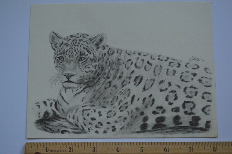 Leopard Drawing Original, Graphite Drawing, Leopard Art, Leopard, Fine ...
