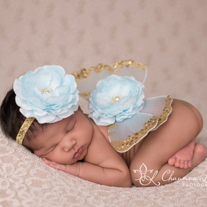 Cinderella Blue and Gold Butterfly Wing Set, Newborn Wings, Newborn ...