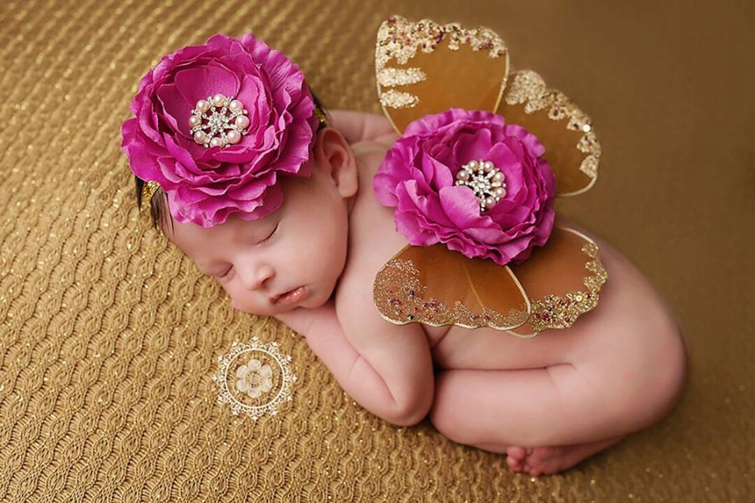 Brown and Pink Butterfly Wing Set / Newborn Wings / Newborn Wing Prop ...