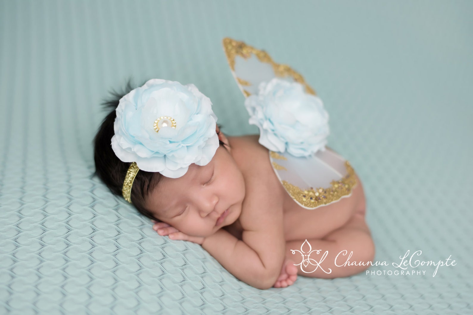 Cinderella Blue and Gold Butterfly Wing Set, Newborn Wings, Newborn ...