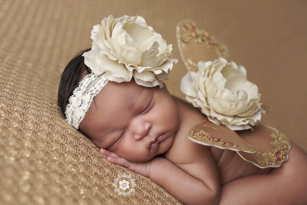 Brown and Beige Butterfly Wing Set / Newborn Wings / Newborn - Etsy