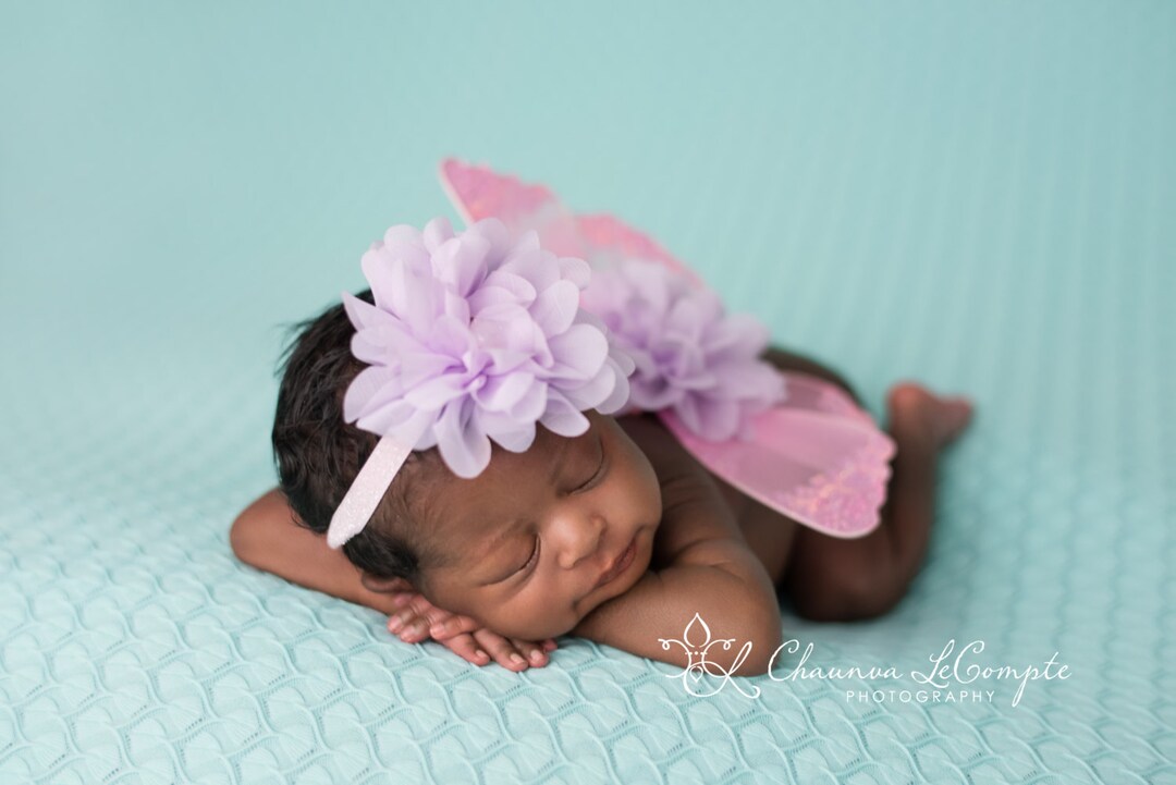 Pink and Lavender Butterfly Wing Set, Newborn Wings, Newborn Wing Prop ...