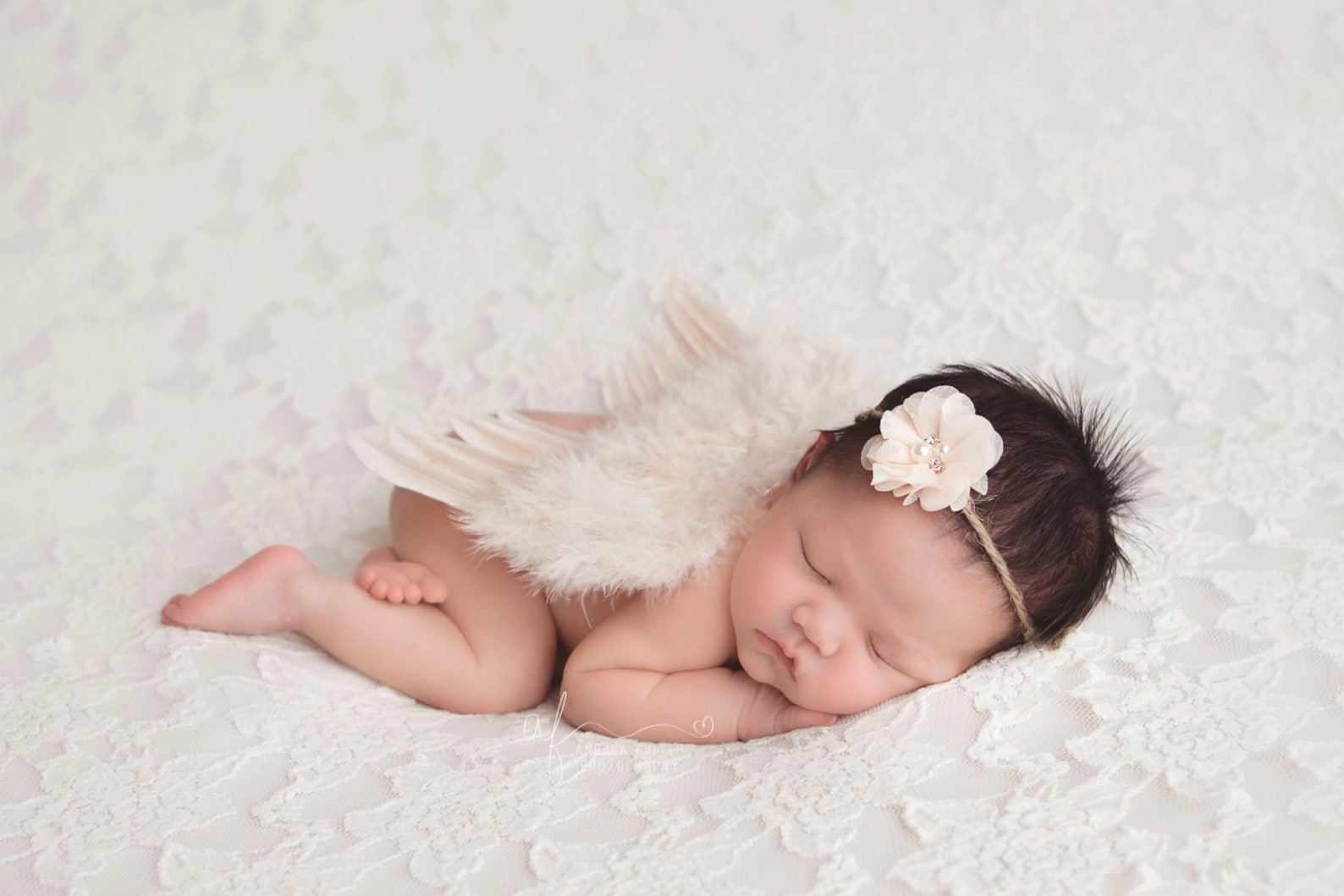 Ivory Baby Wing Set / Baby Angel Wing Set / Blush Tie Back / Angel ...