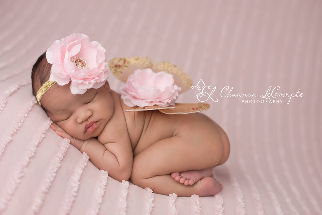Brown and Pink Butterfly Wing Set, Newborn Wings, Newborn Wing Prop ...