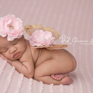 Brown and Pink Butterfly Wing Set, Newborn Wings, Newborn Wing Prop ...