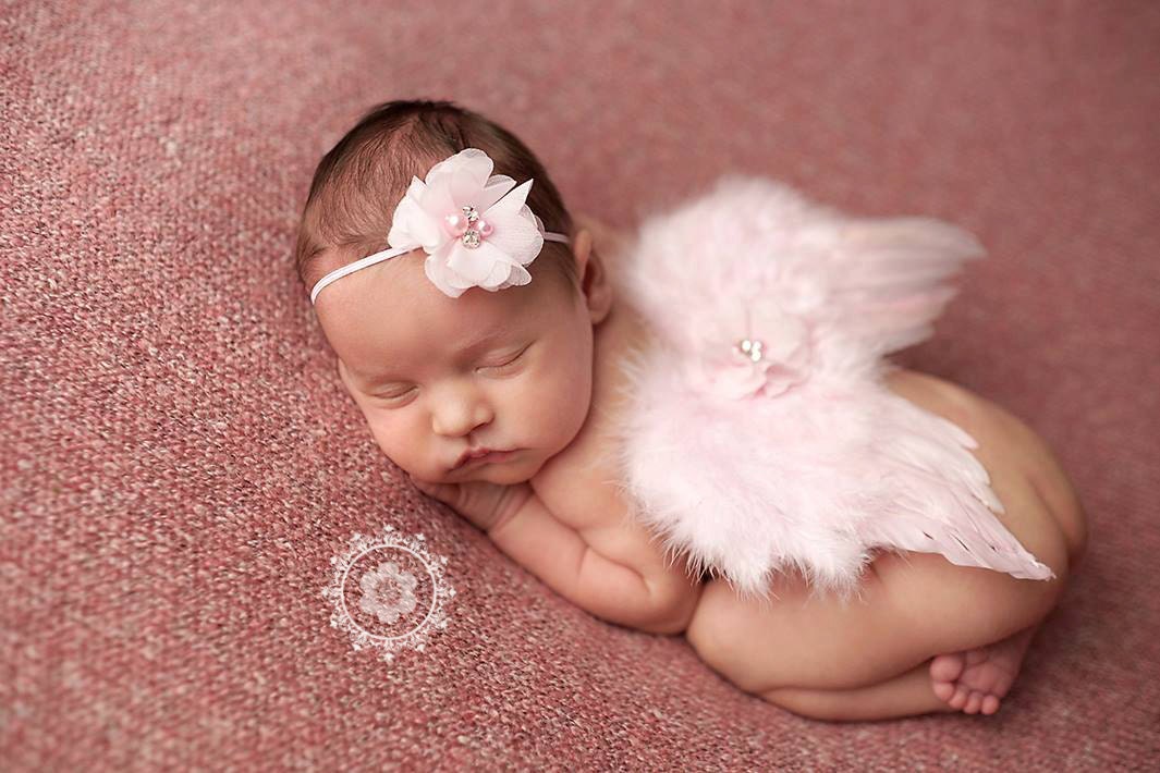 Pink Baby Wing Set / Baby Angel Wing Set / Pink Flower - Etsy