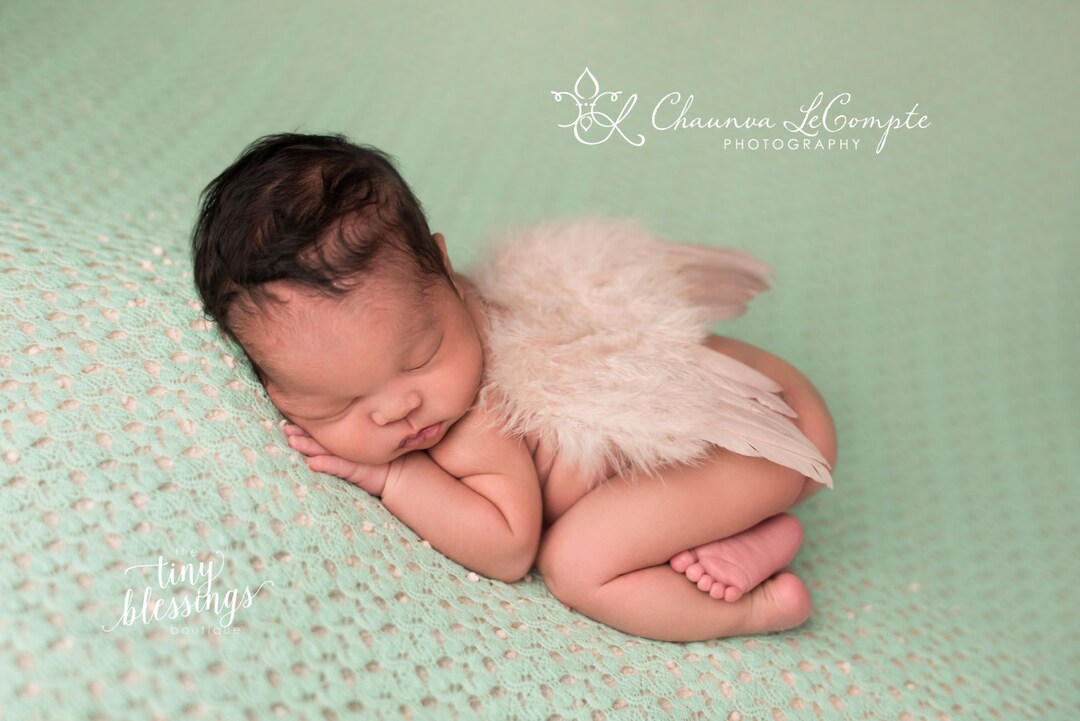 Blush Baby Wings / Baby Angel Wings / Ivory Wings / Angel Wings ...