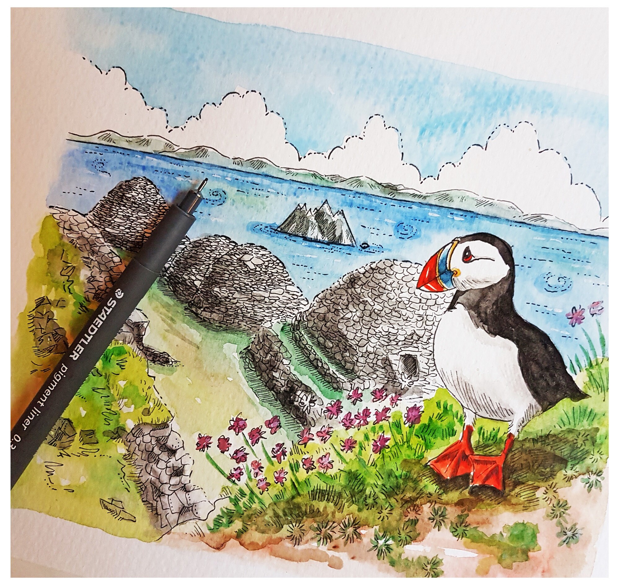 Skellig Michael, Puffin, Art Print - Wall Art, Birds, Illustration ...