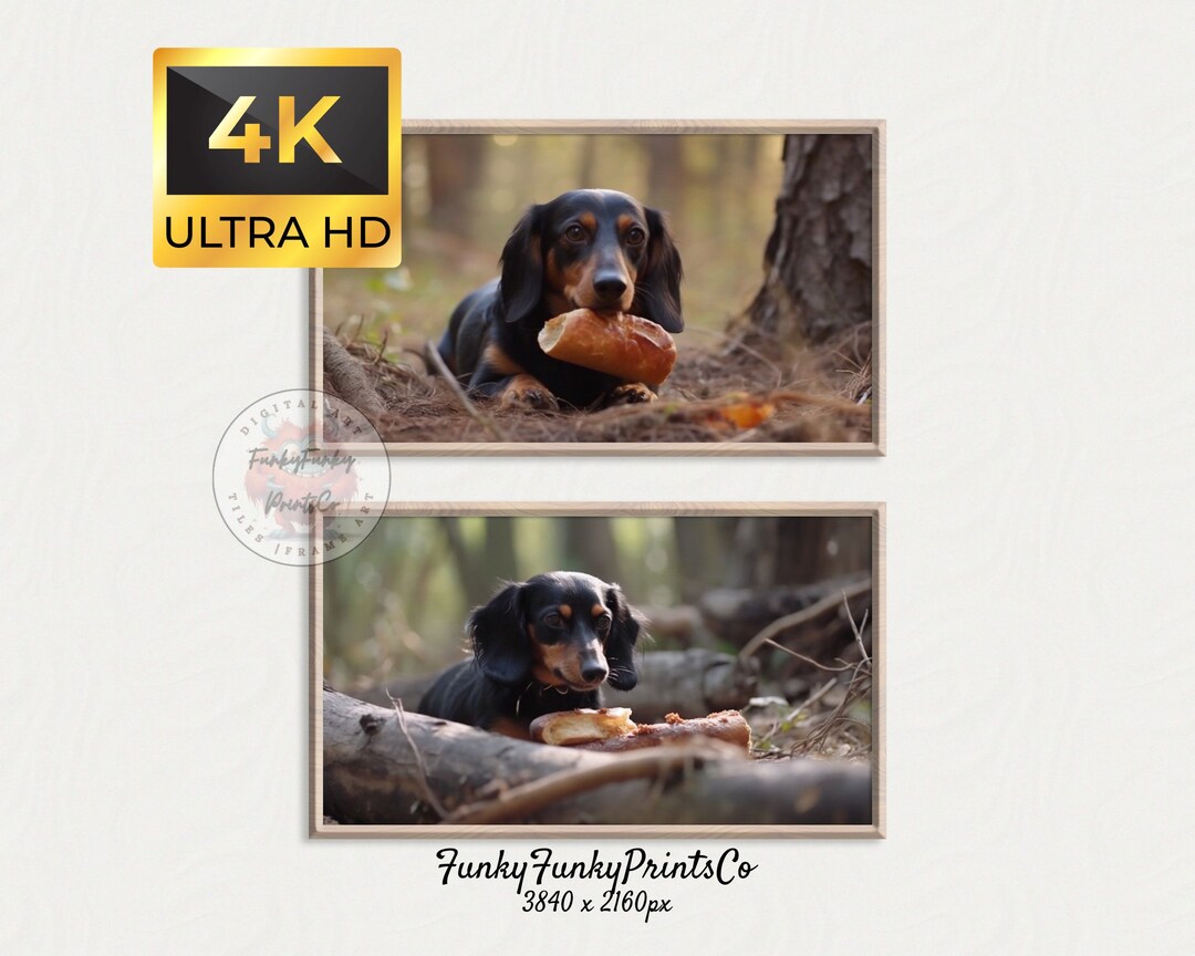 Samsung FRAME Tv Art Dachshund Dog Digital Animal Artwork Set of 2 Art ...