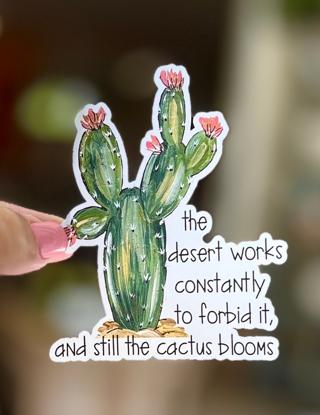 Cactus Sticker, Cactus Decal, Cactus Water Bottle, Bloom Where You Are ...