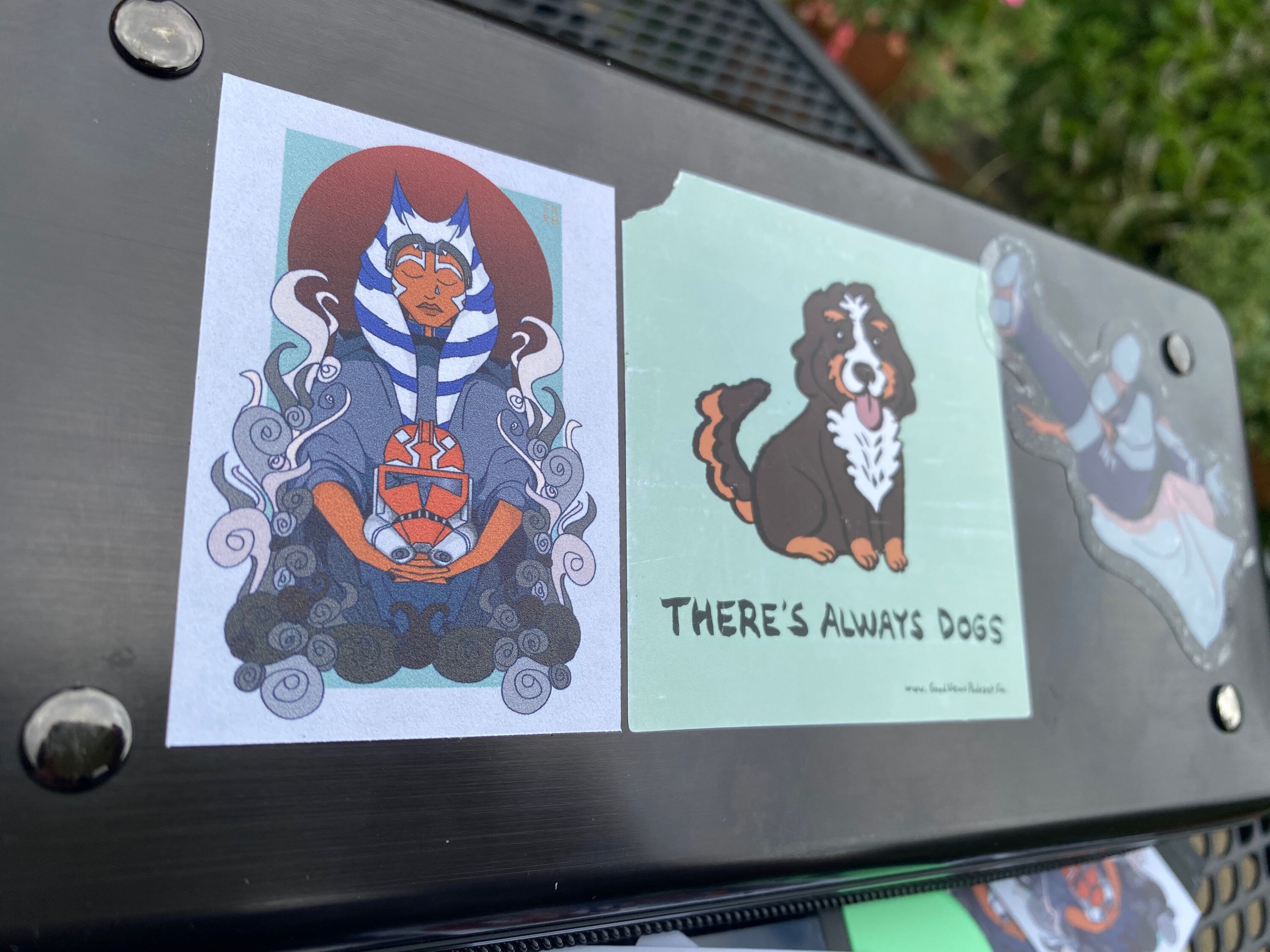 Biodegradable Stickers Assorted Designs - Etsy